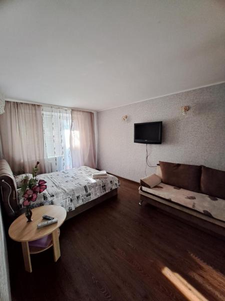 однокомнатная квартира в сердце города - Kryvyi Rih