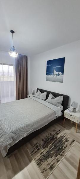 Apartament In Regim Hotelier : La Andrei - Mureş