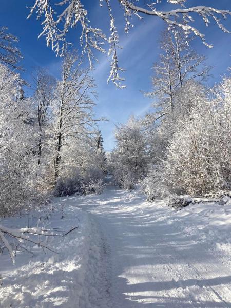 Chata Na Zbojskej - Slovakia