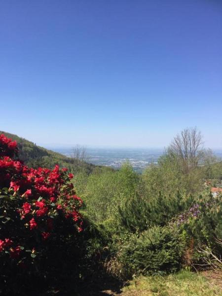 View From The Rock - Sasbachwalden