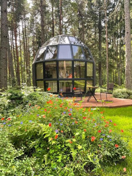 Mugavustega Majake Mereäärses Männikus. - Estonie