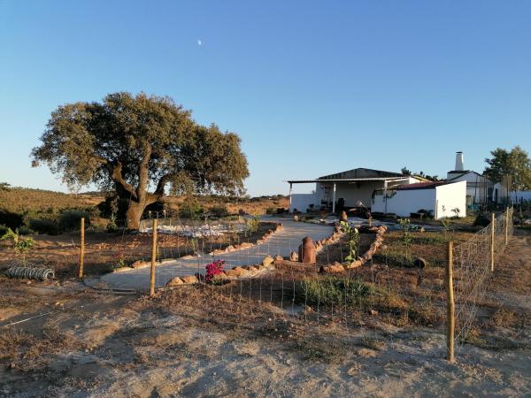Monte Beatriz - Monsaraz