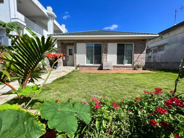 Parm Tree - Vacation Stay 06171v - Ishigaki