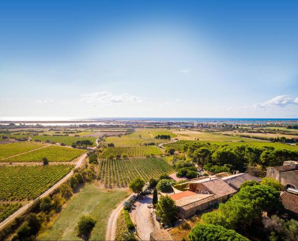 Château Le Bouïs - Gruissan