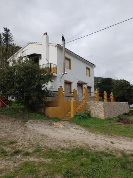 Casa Don Julio - Cortes de la Frontera