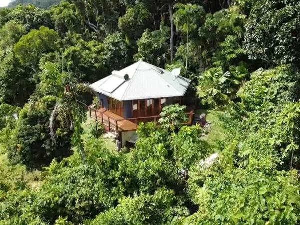 Treeverb Beach House - Daintree - Queensland