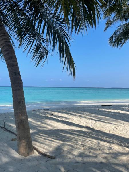 Viluveli Holiday Retreat - Maldives