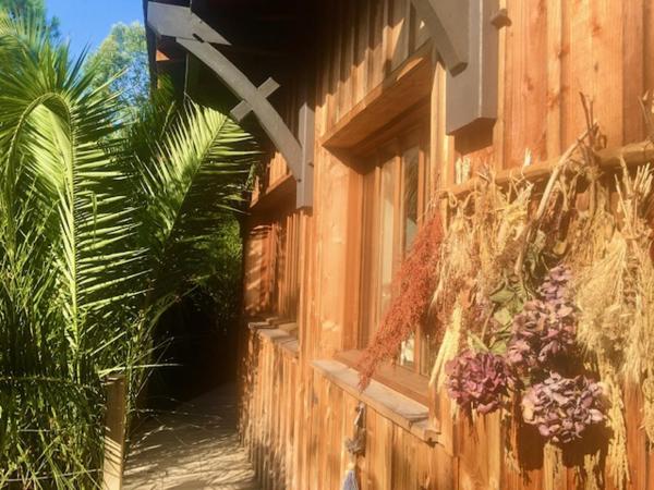 Cabane Chic Au Cap Ferret - Arcachon