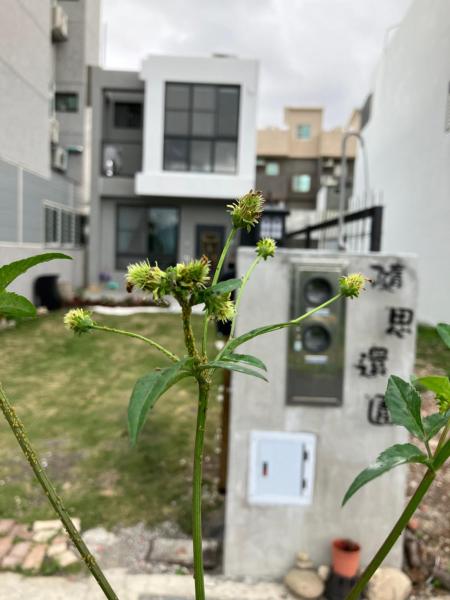 Return To The Garden With Thoughts - Taitung County