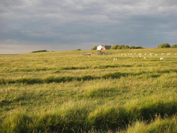 Hof Rickelsbüll - Nordseeurlaub Auf Dem Biobauernhof - Schleswig-Holstein
