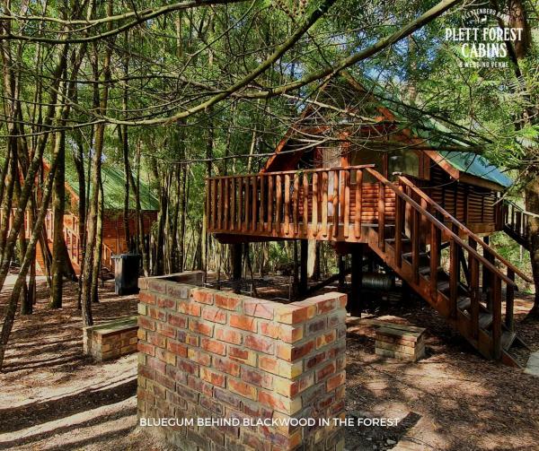 Plett Forest Cabins - Sudáfrica