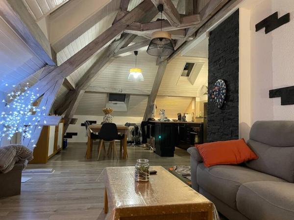 Loft Avec Jardin - Corcieux