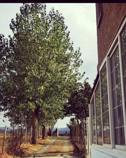 Agradable Casa Con Jardín: Casasola - Segovia
