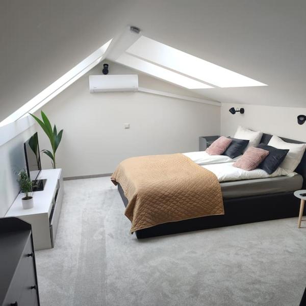 Most Wanted Apartment. Old Town. - Vilnius