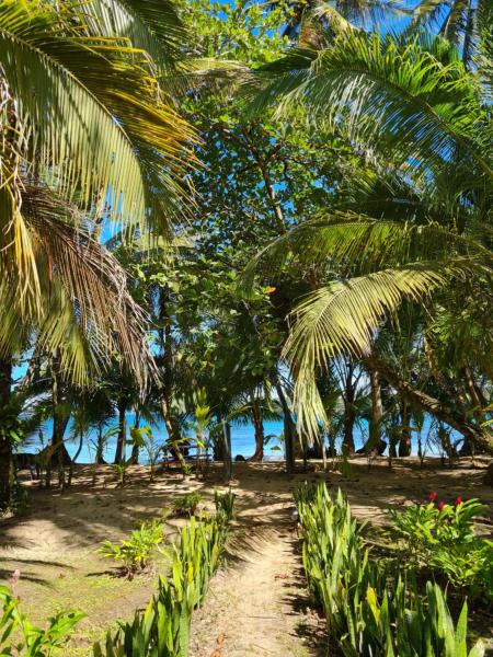 Drago Beach House - Private Beach - Panama
