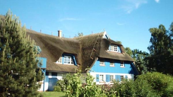 Lütt Wieck App Nr 12 - Darß, Allemagne