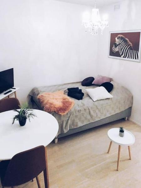 New Studio Zebra Near Airport - Uusimaa