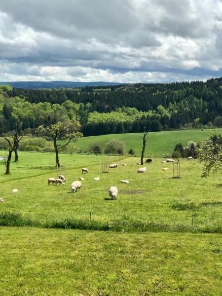 Ferienwohnung Westwind - Blankenheim