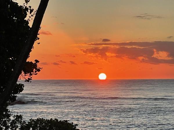 Kauai Hale Awapuhi By Coldwell Banker Island Vacations - Lihue, HI