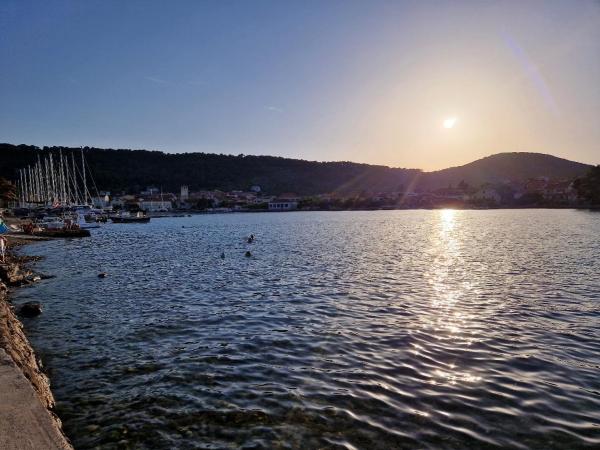 Apartment Opaćac Veli Iž - Sali
