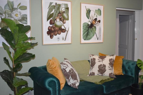 The Botanical House - Somerset West