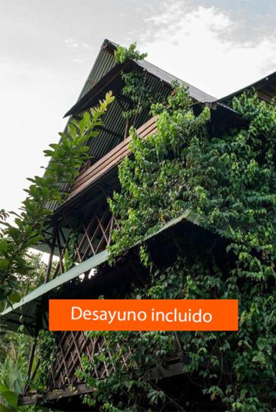 Paraíso Ayahuasca Hotel & Tours - Amazonas