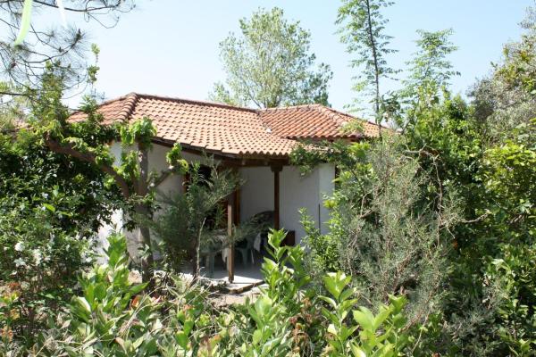 Nikos 5 - Greece