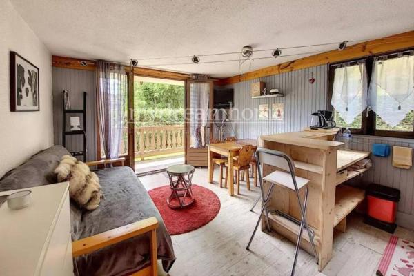 Appartement Idéal Pour Une Famille. - Praz-sur-Arly