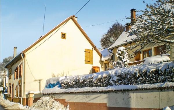 Amazing Home In Natzwiller With Wifi - Champ du Feu