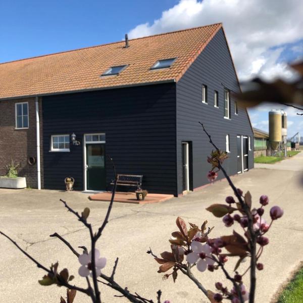 Apartment De Graanzolder 5 Stars Detached, Farm, Holiday House, Sea - Breskens