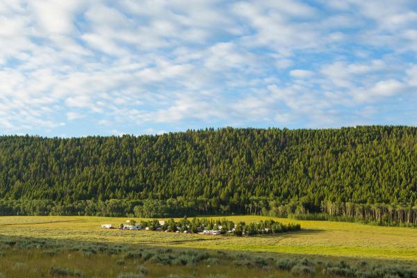 Red Rock Rv Park - Island Park, ID