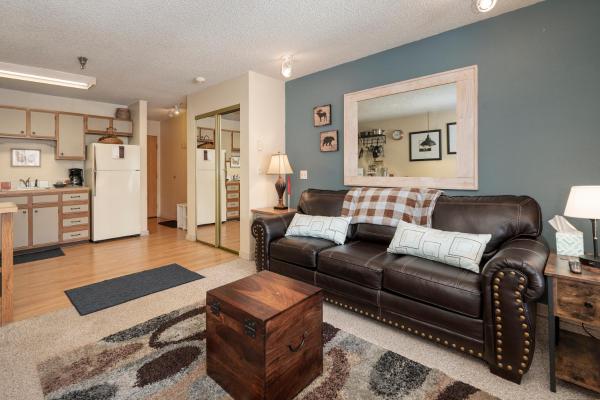 Snowblaze E102 Studio - Winter Park, CO