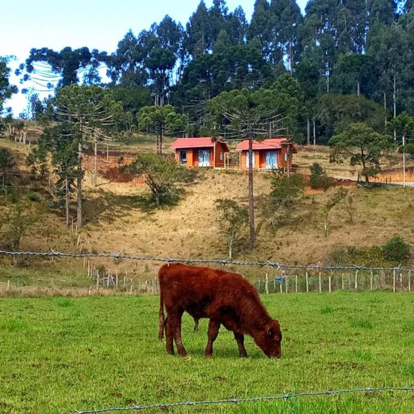 Cabanas Observatório - Urubici