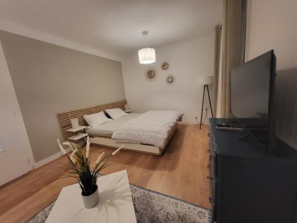 Appartement T1 Bis 35m2 Annecy Proche Centre Ville - Annecy