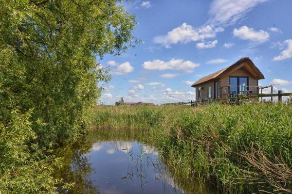 Tiny In De Polders - Vlaanderen