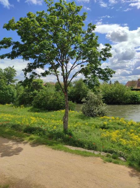 Gîte D’emma - Haut-Rhin