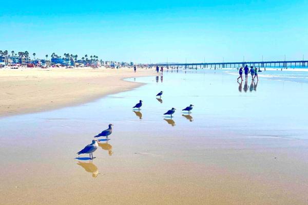 Beach House Rental For 3 Mths Or More - Madeira Beach, FL