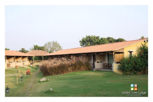 Asiatic Lion Lodge - Gujarat