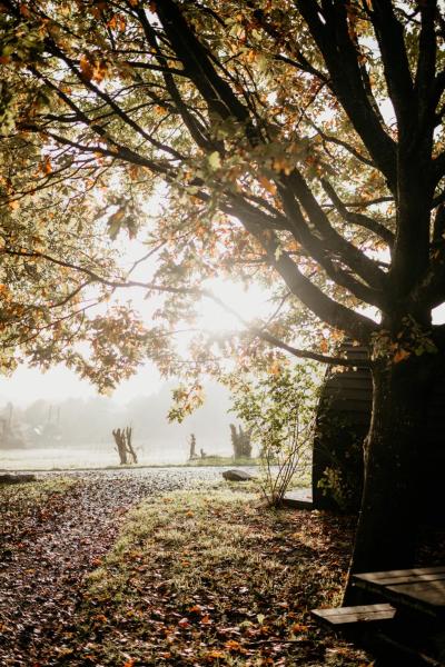 Caplor Glamping & Lodges - Gloucestershire
