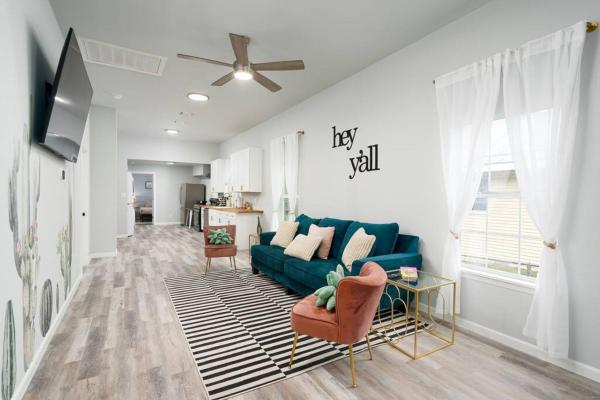 Cacti - Cactyou - Cactus - San Antonio, TX