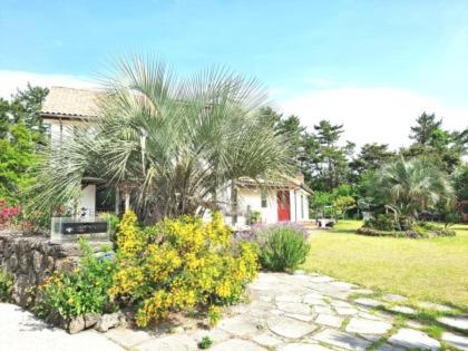 Bandi House - South Korea