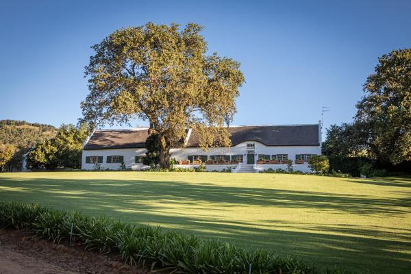 Taaibosch Collection - Cape Town