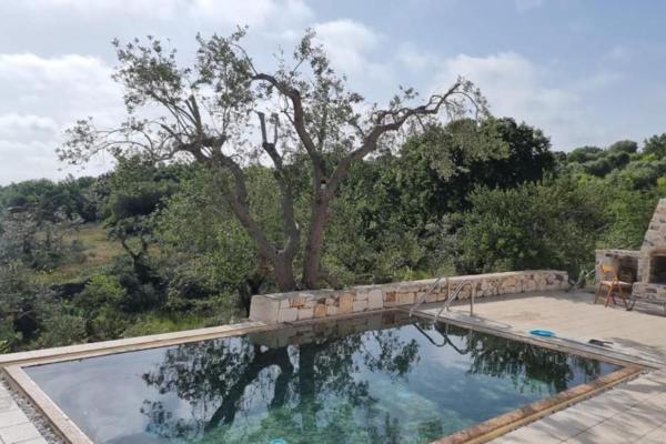 Trullo Piccola Lucertola In Valle D’itria… - Ceglie Messapica