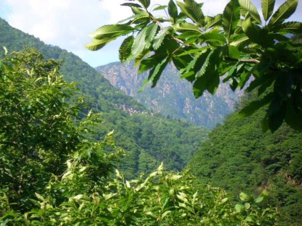 B&b Ca' Del Pitur Cicogna - Mergozzo
