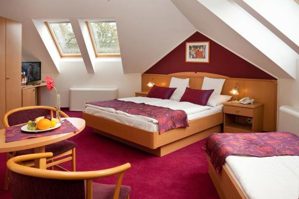 Hotel Kálvária - Hungary