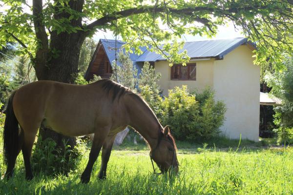 Chacrakremen - El Bolsón