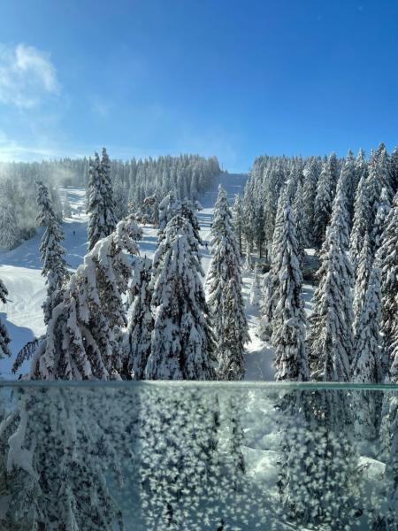 Woodside Kopaonik & Spa By Slopeview - Kopaonik