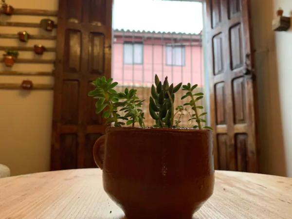 Casa Piyo - San Cristóbal de las Casas