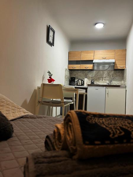 Studio Apartman Rijeka - Rijeka