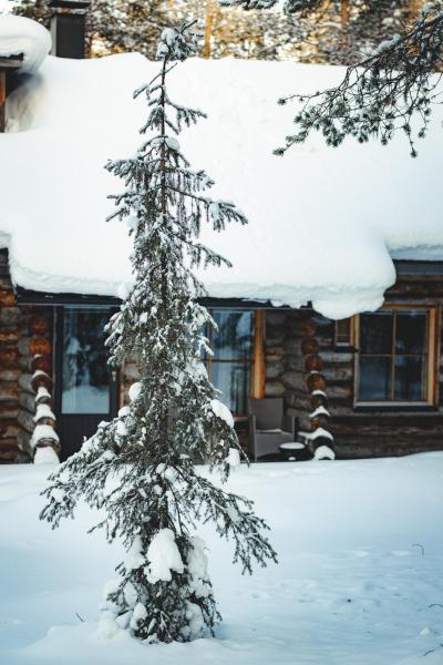 Economy Lomailevi - Lapland